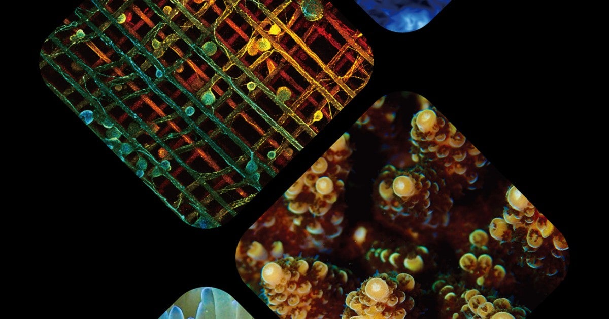 science behind the art banner 1 | Okinawa Institute of Science and ...