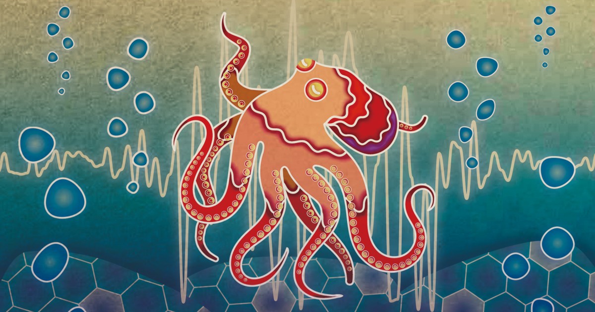 Octopus sleep is surprisingly similar to humans and contains a wake ...