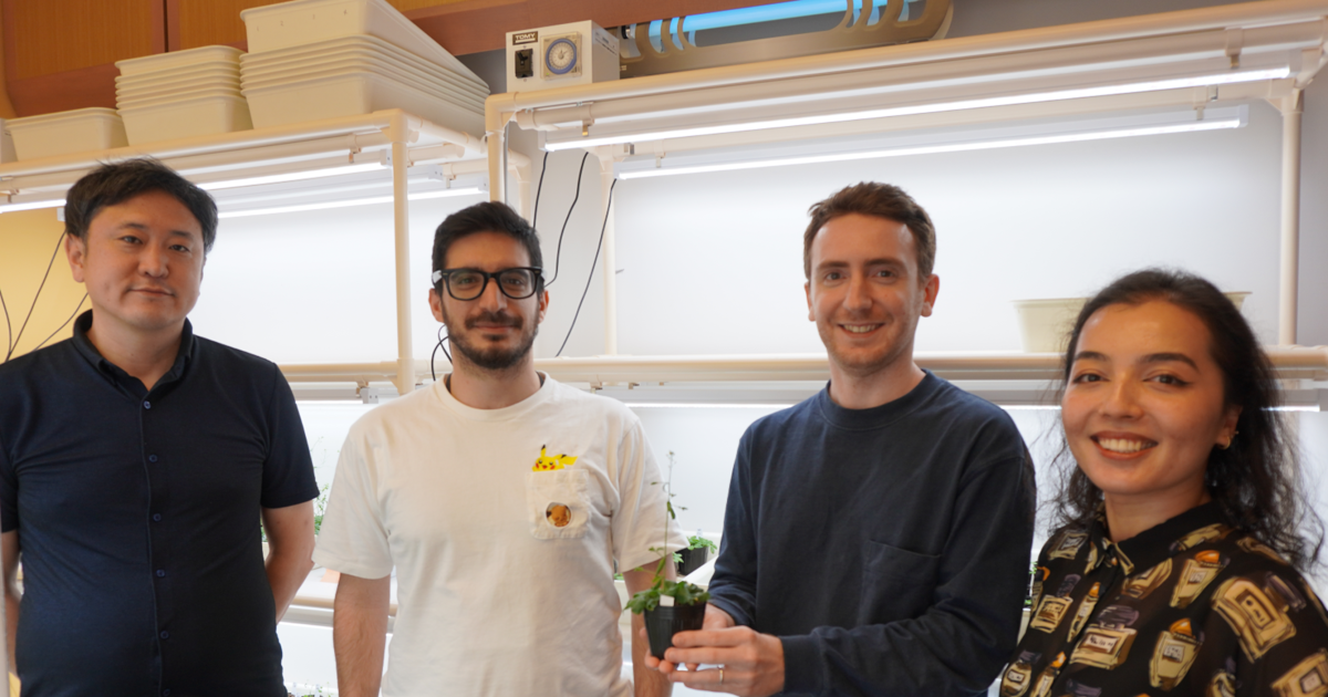 Plants use Jumping genes to adapt to extreme conditions | Mirage News