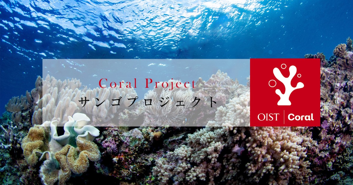 OIST Coral Project: Launching the world’s first coral reef conservation ...