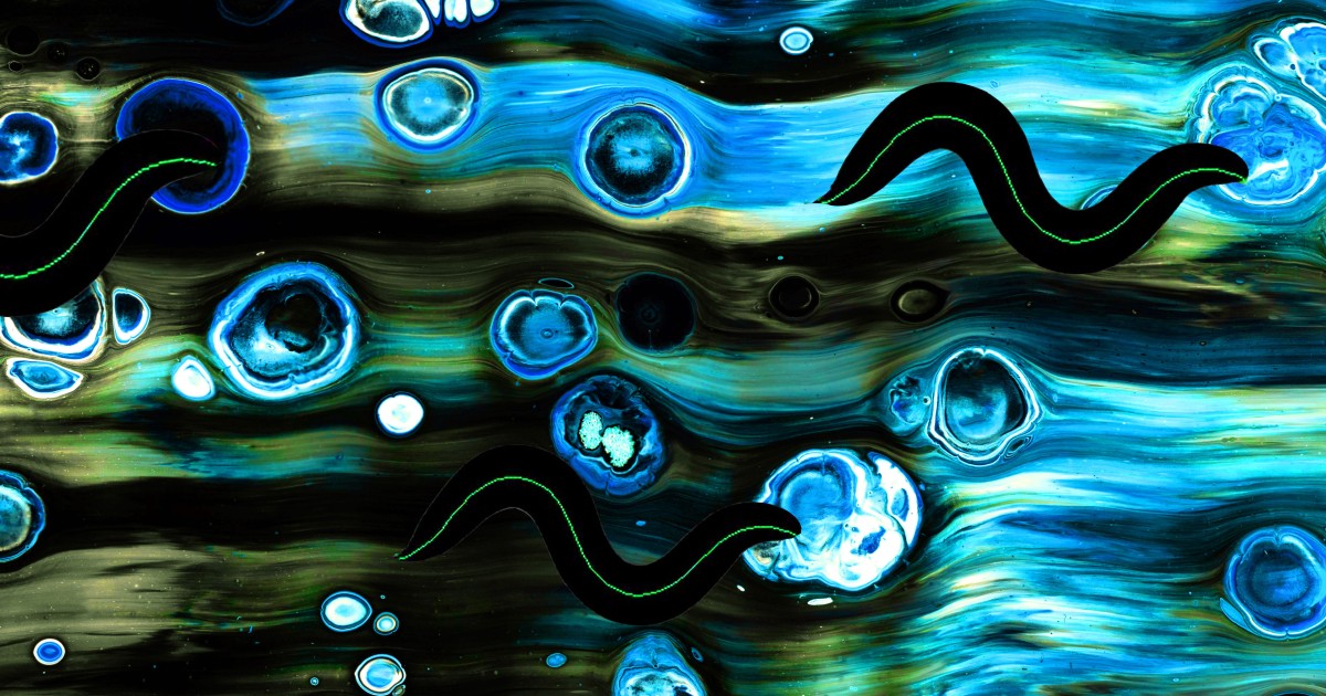 Biological Physics Theory Unit | Okinawa Institute of Science and ...