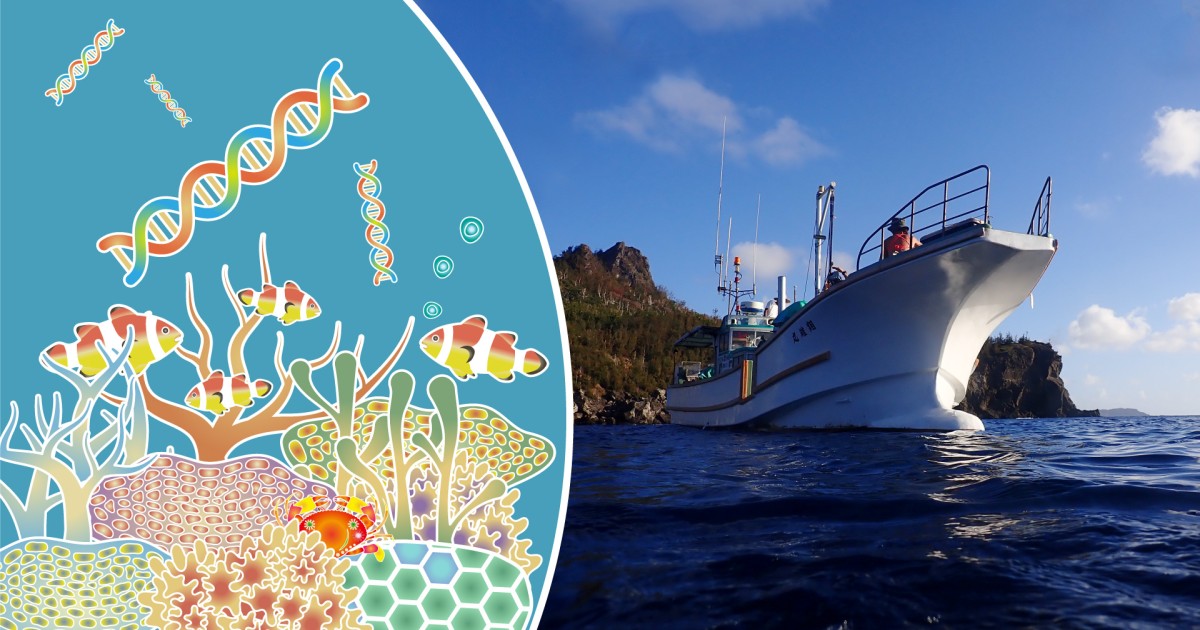 Surveying Biodiversity: Environmental DNA Sequencing as Nature's ...