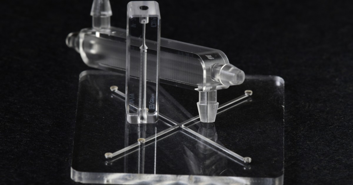 Photograph of microfluidic devices from the Micro/Bio/Nanofluidics unit ...