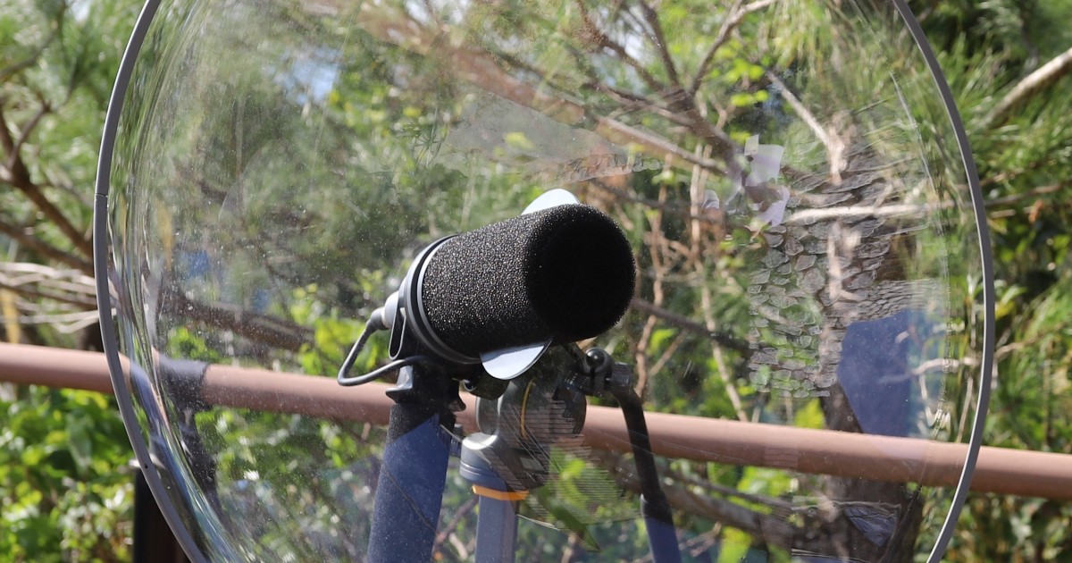 parabolic mic close.jpeg | Okinawa Institute of Science and Technology OIST