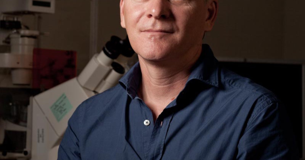 mbnu FY2019 Annual Report Prof. Gregory Jedd | Okinawa Institute of ...