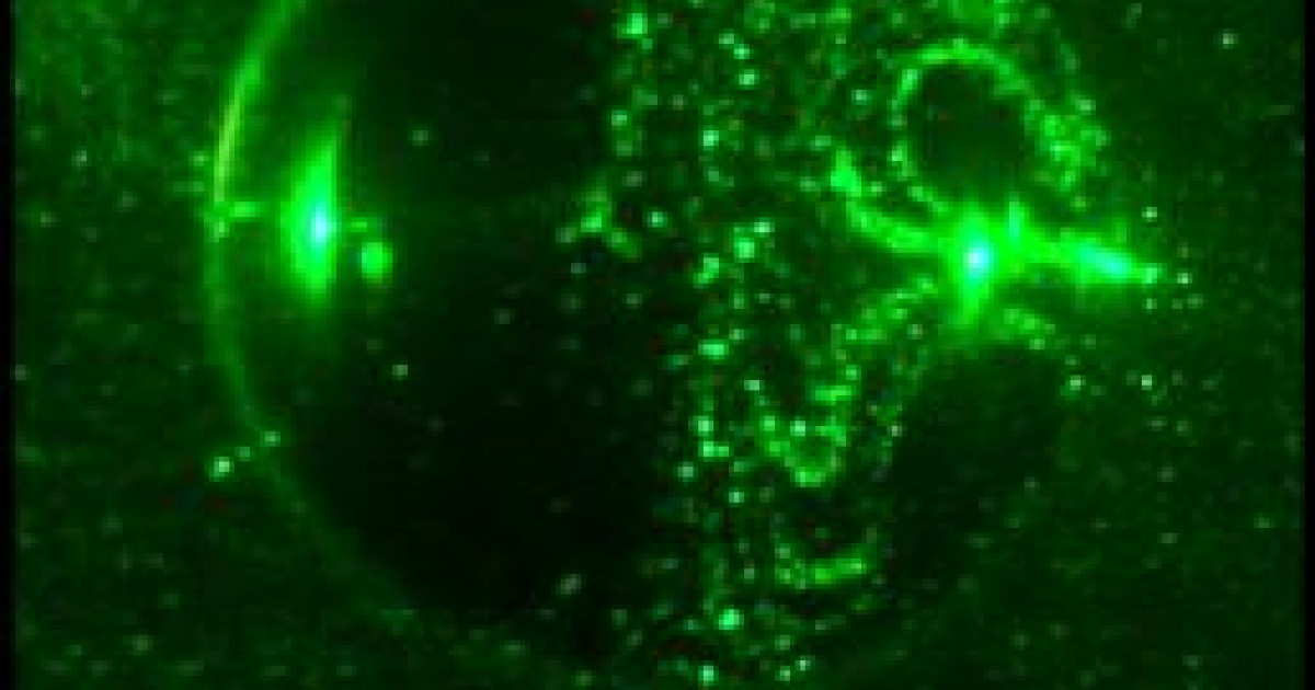 mbnu FY2016 Annual Report Prof. Bud Homsy | Okinawa Institute of ...