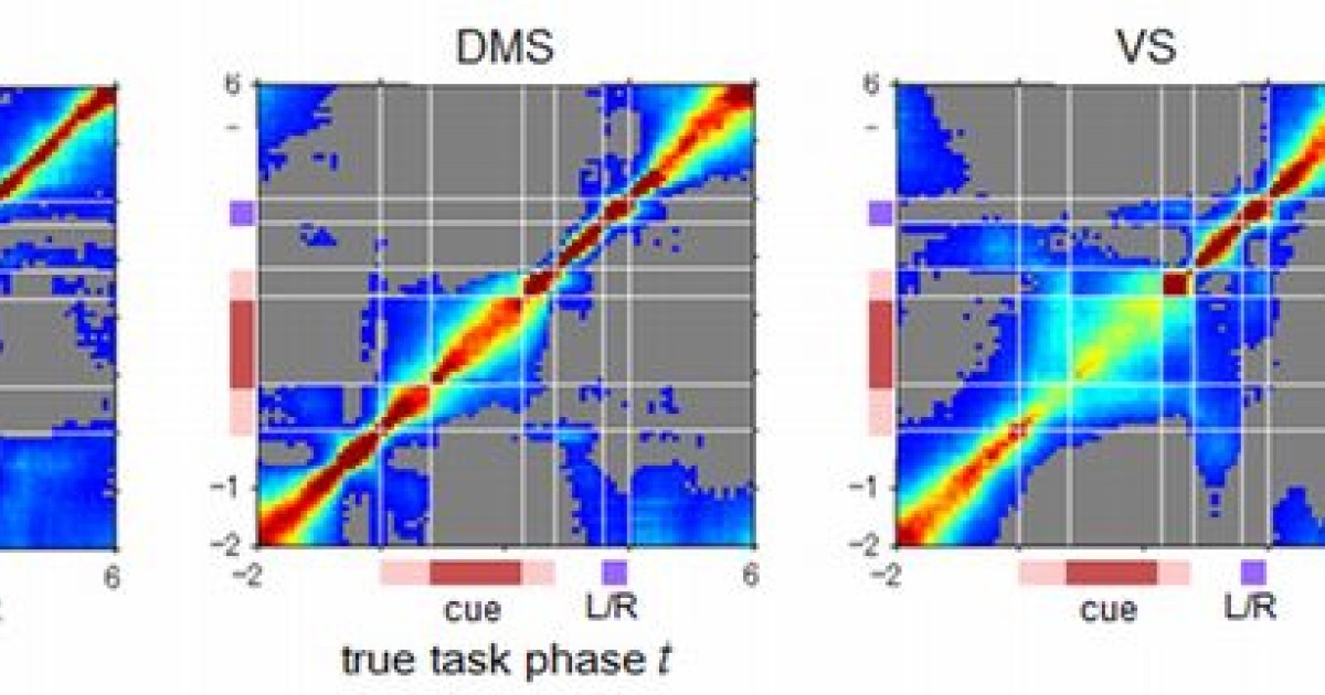 ncu FY2012 Annual Report 7 | Okinawa Institute of Science and Technology OIST