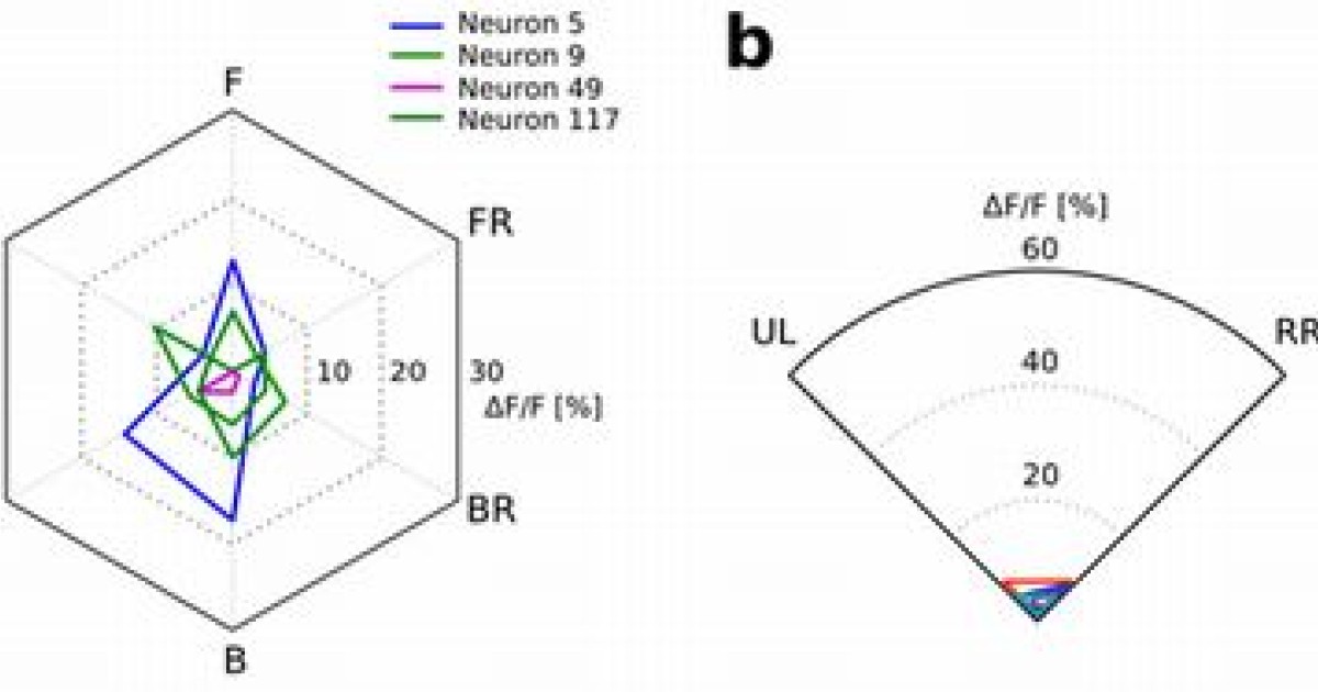 ncu FY2012 Annual Report 9 | Okinawa Institute of Science and Technology OIST