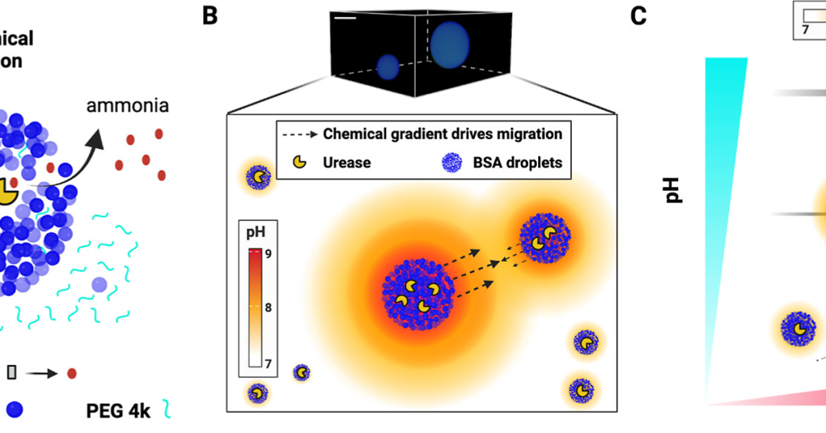 Three figures showing the principles of droplet movement | Okinawa ...