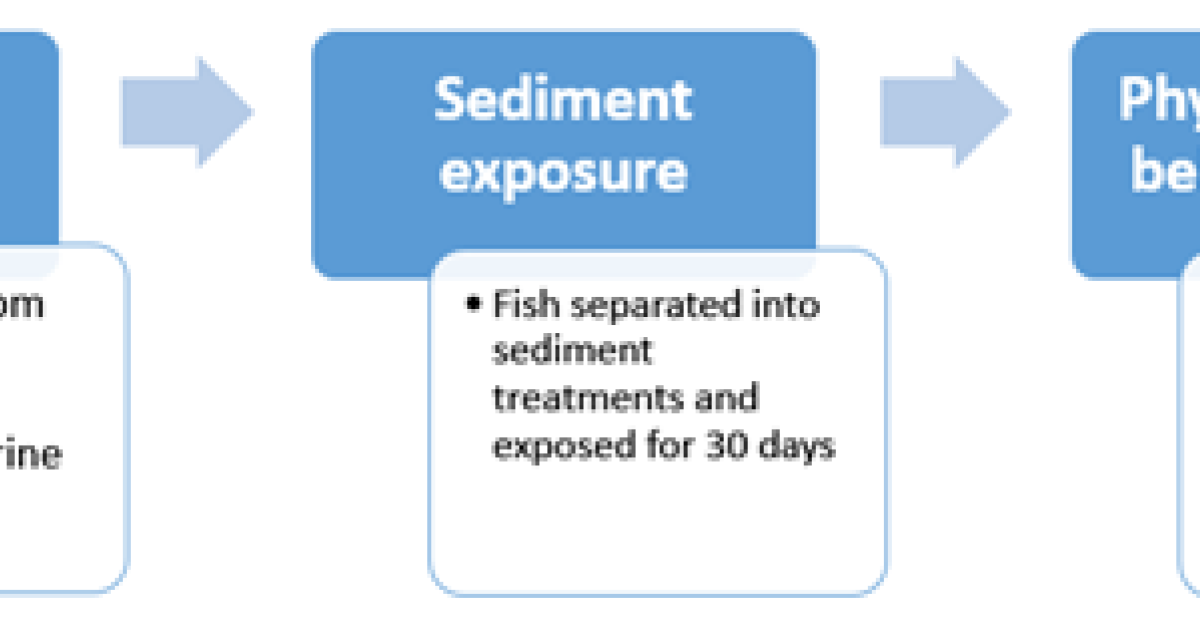 macc annual report FY23_1 sediment experiment process | Okinawa ...