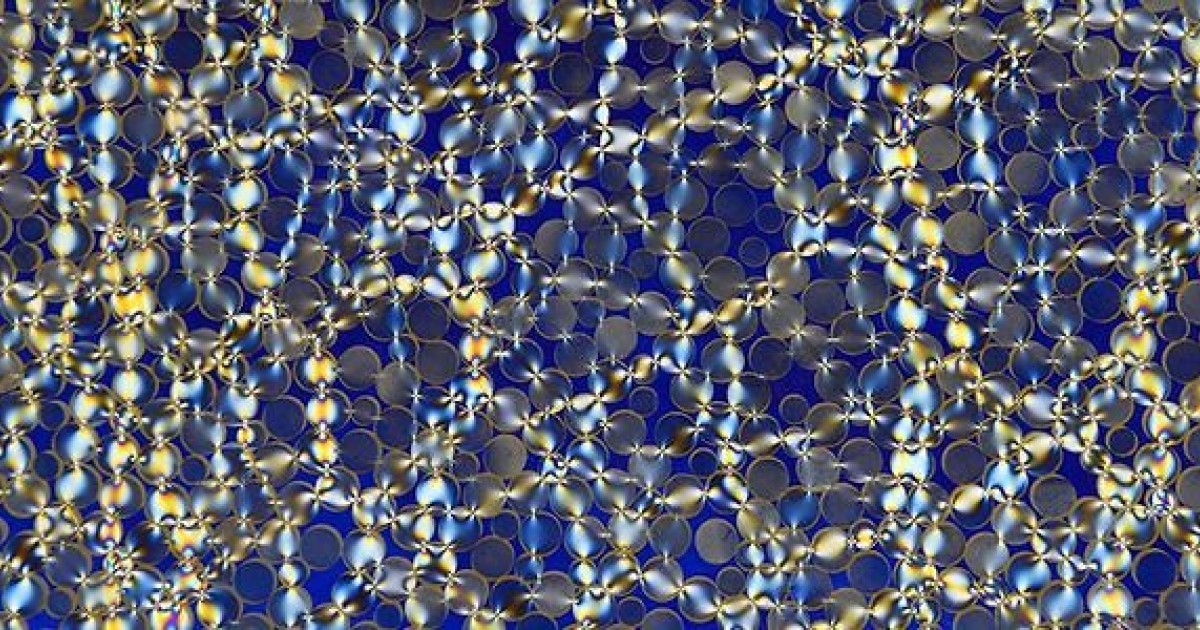 nnp banner for Annual Report | Okinawa Institute of Science and ...