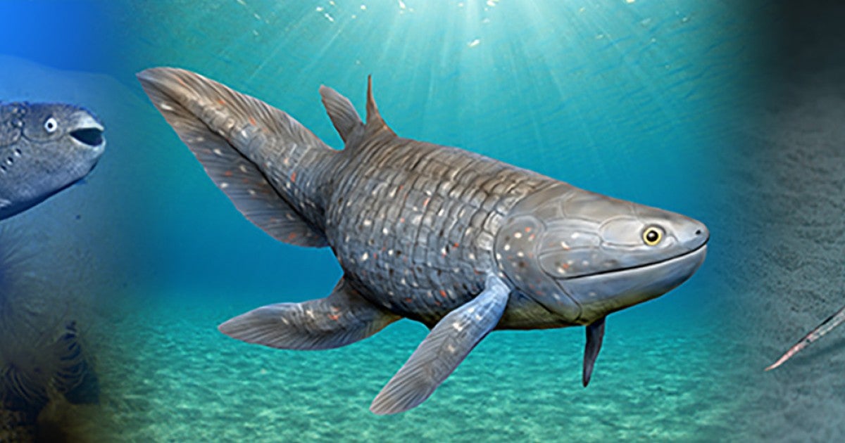 Mass Extinction 445 Million Years Ago Paved the Way for Jawed Fishes to ...