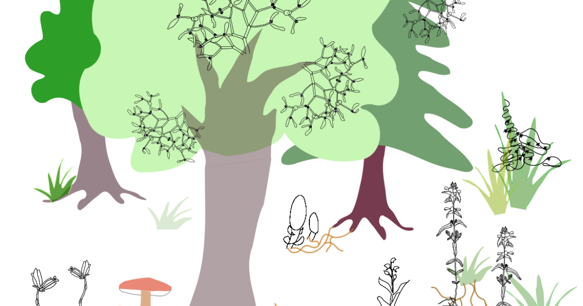 stg_svetlikova_heterotrophic_plants | Okinawa Institute of Science and ...