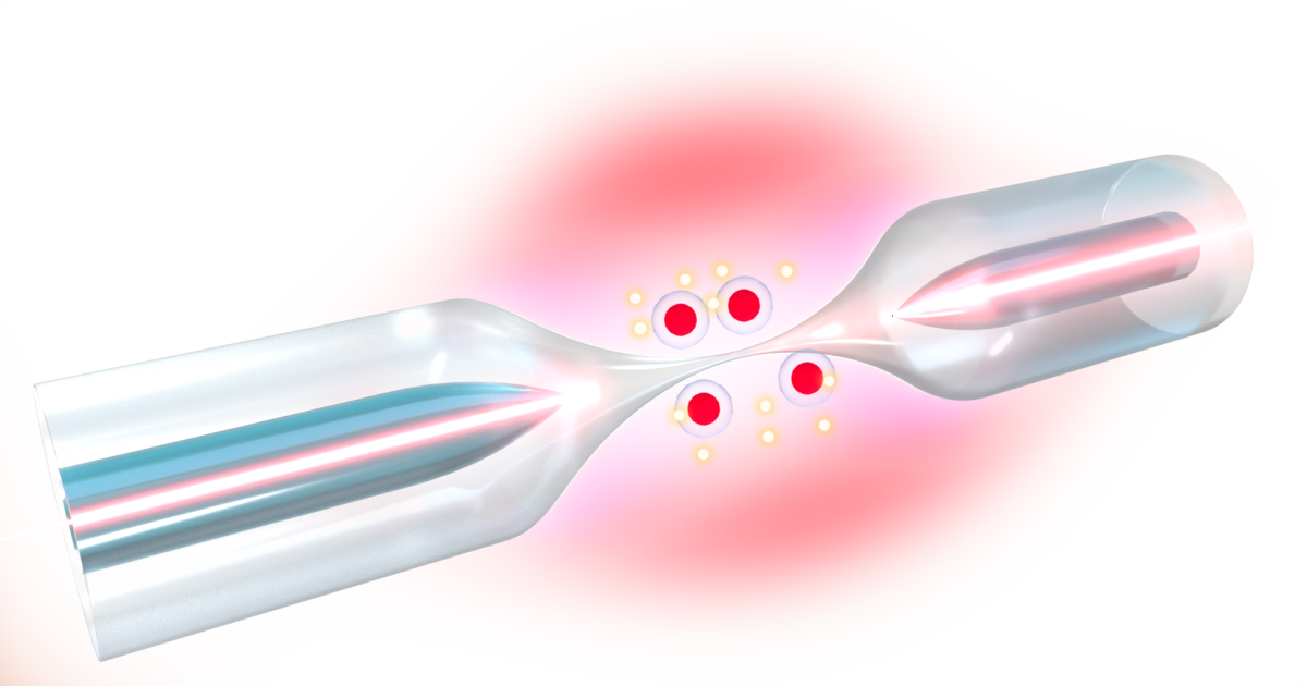 light-research_figure_1 | Okinawa Institute of Science and Technology OIST