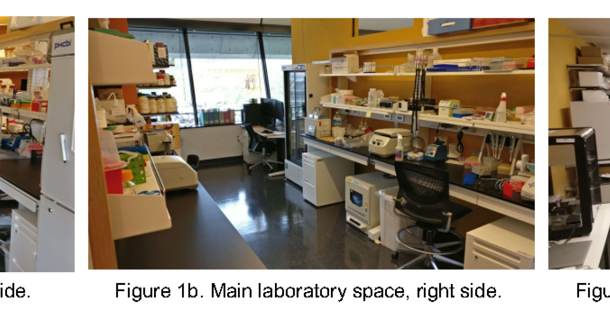 Lab space | Okinawa Institute of Science and Technology OIST