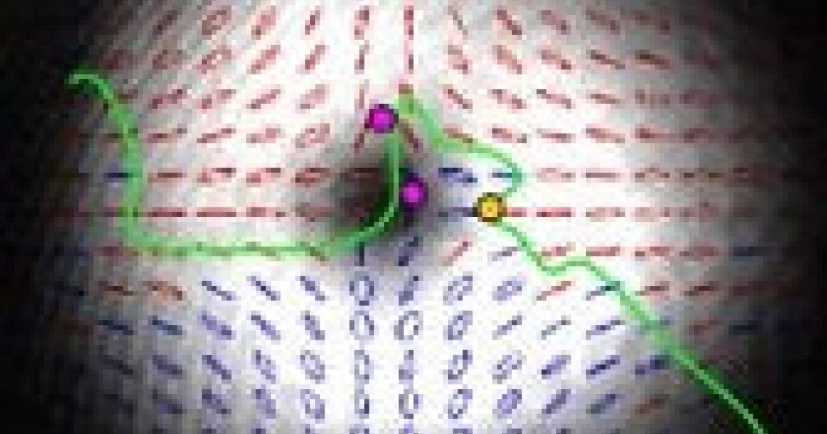 light-polarization_manipulation | Okinawa Institute of Science and ...