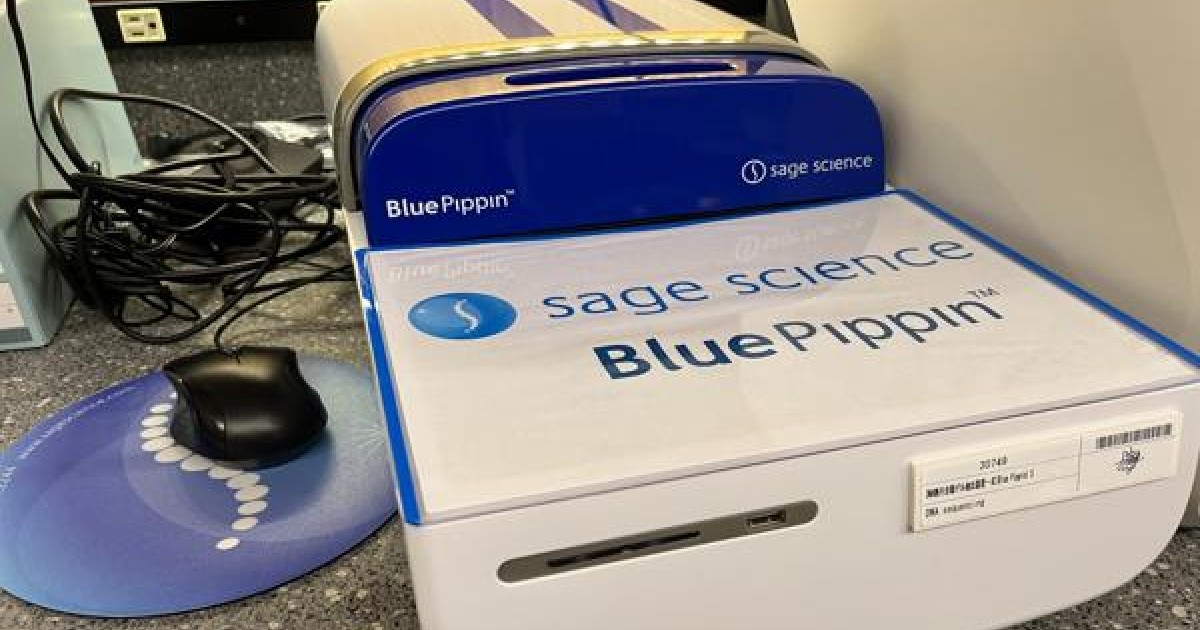 sqc_BluePippin | Okinawa Institute of Science and Technology OIST