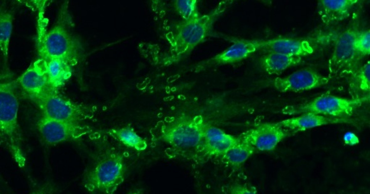 DiO2_3_good_new | Okinawa Institute of Science and Technology OIST