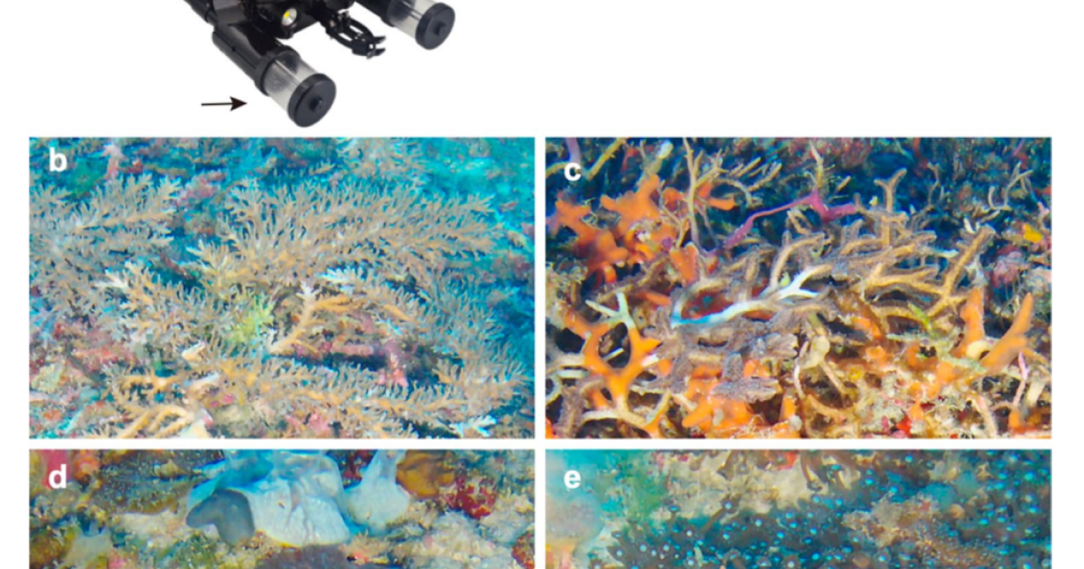 FIFISH W6Plus ミニROV（2つの海水サンプリング装置付き | 沖縄科学技術大学院大学（OIST）