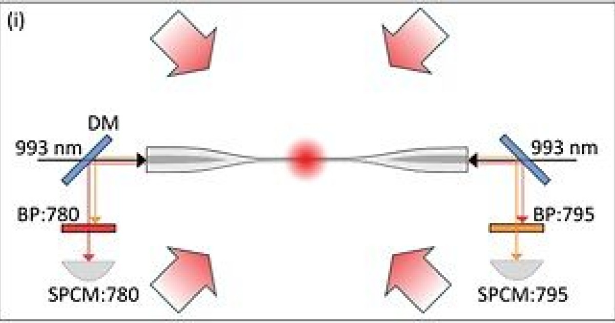 light-rubidium_atom_spectral_lineshapes | Okinawa Institute of Science ...
