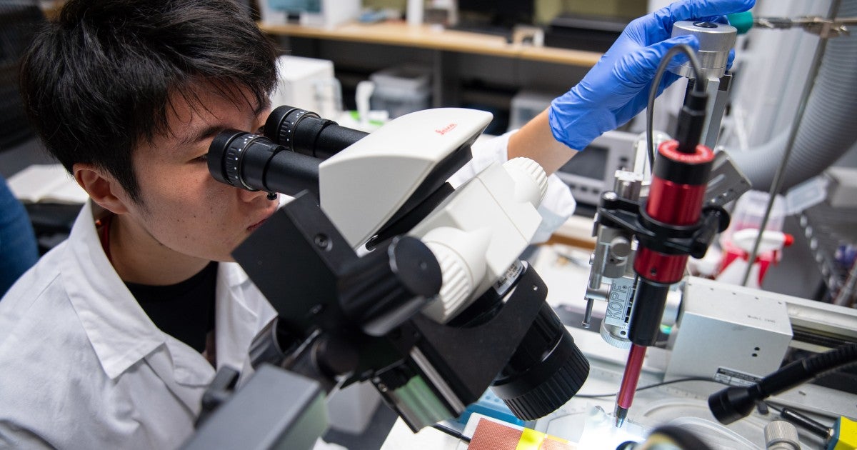 aps_summer camp 2023 | Okinawa Institute of Science and Technology OIST