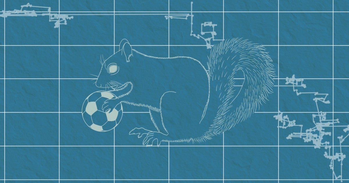 Foraging Footballers Call for Unity in Action | Mirage News