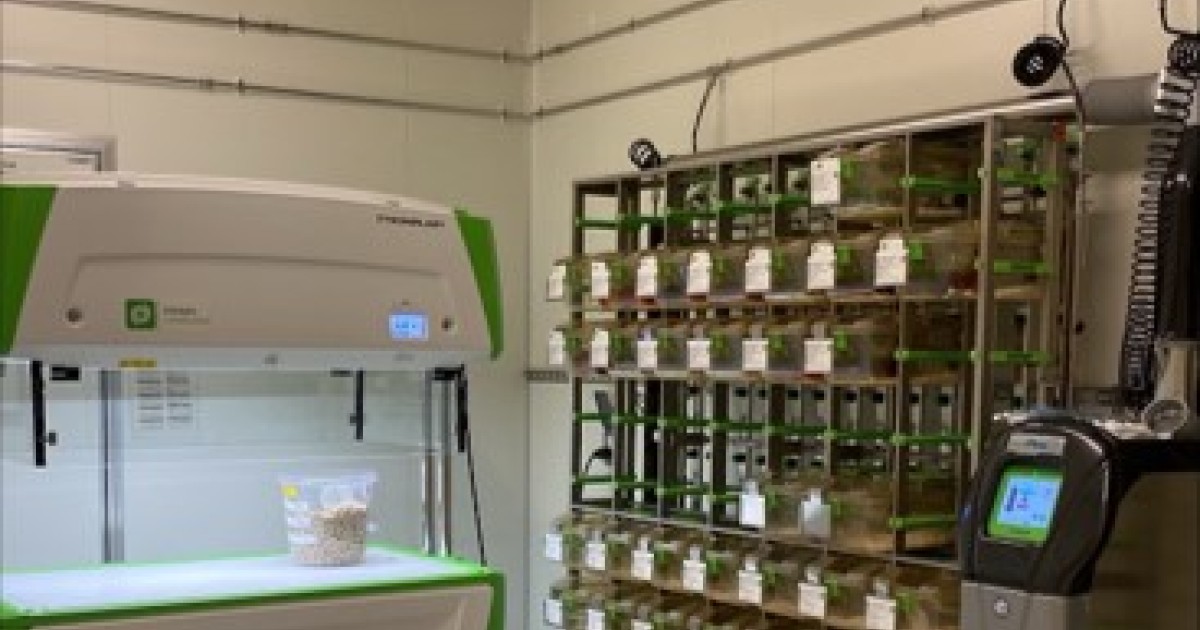 cf-ars-lab5-cage | Okinawa Institute of Science and Technology OIST