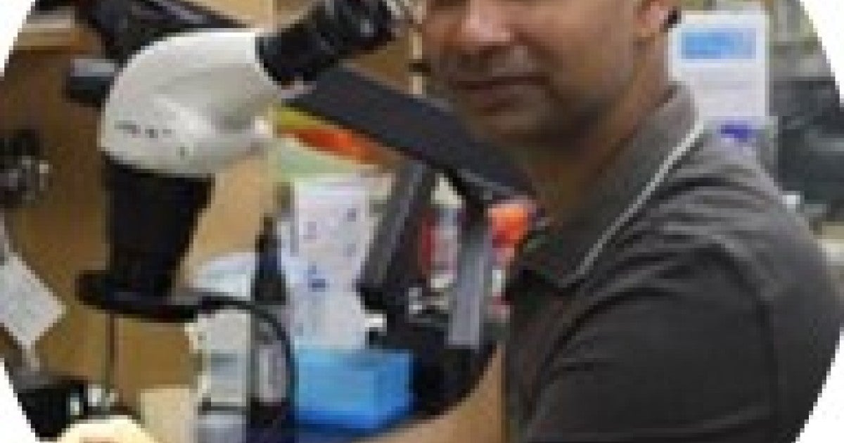 mru Dr. Pratap Tomar | Okinawa Institute of Science and Technology OIST