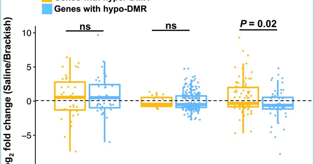 stg_Matin_research DMR-DEG box plot | Okinawa Institute of Science and ...
