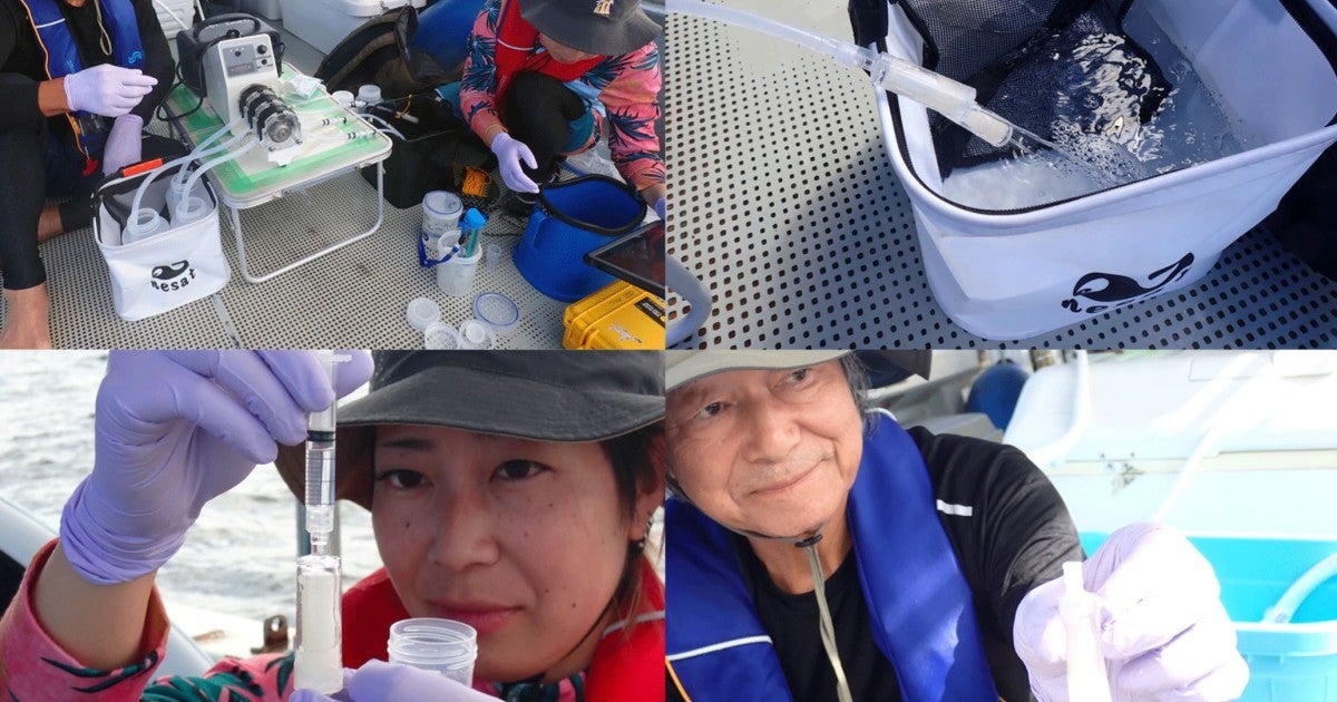 Collecting coral eDNA | Okinawa Institute of Science and Technology OIST