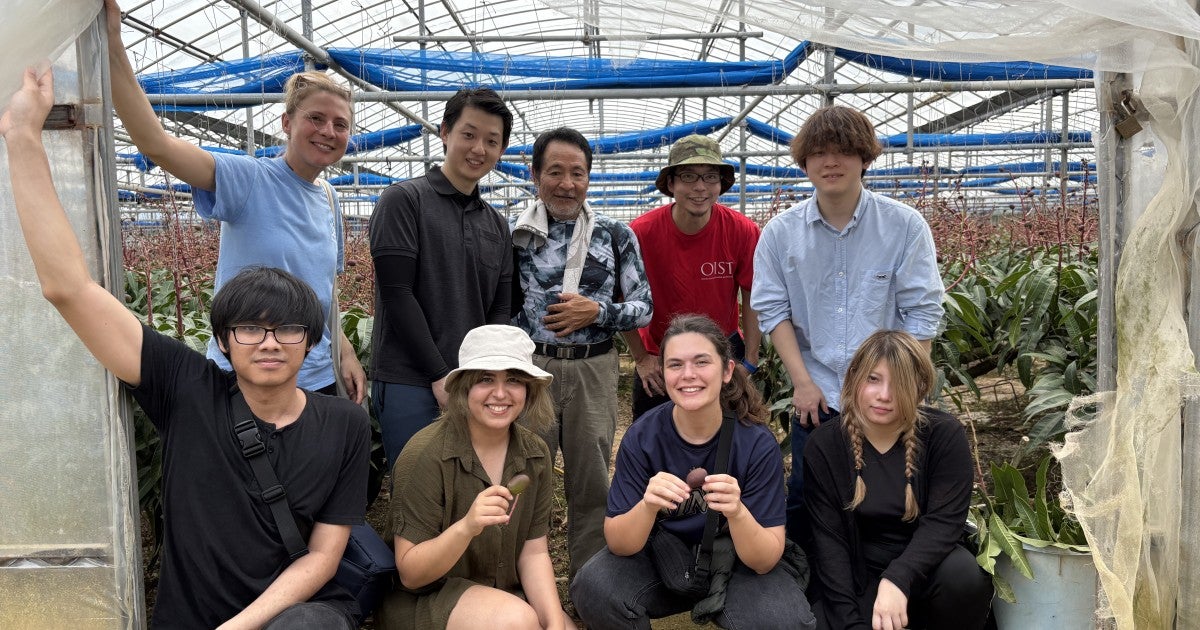 iGEM Mango Farm visit | Okinawa Institute of Science and Technology OIST