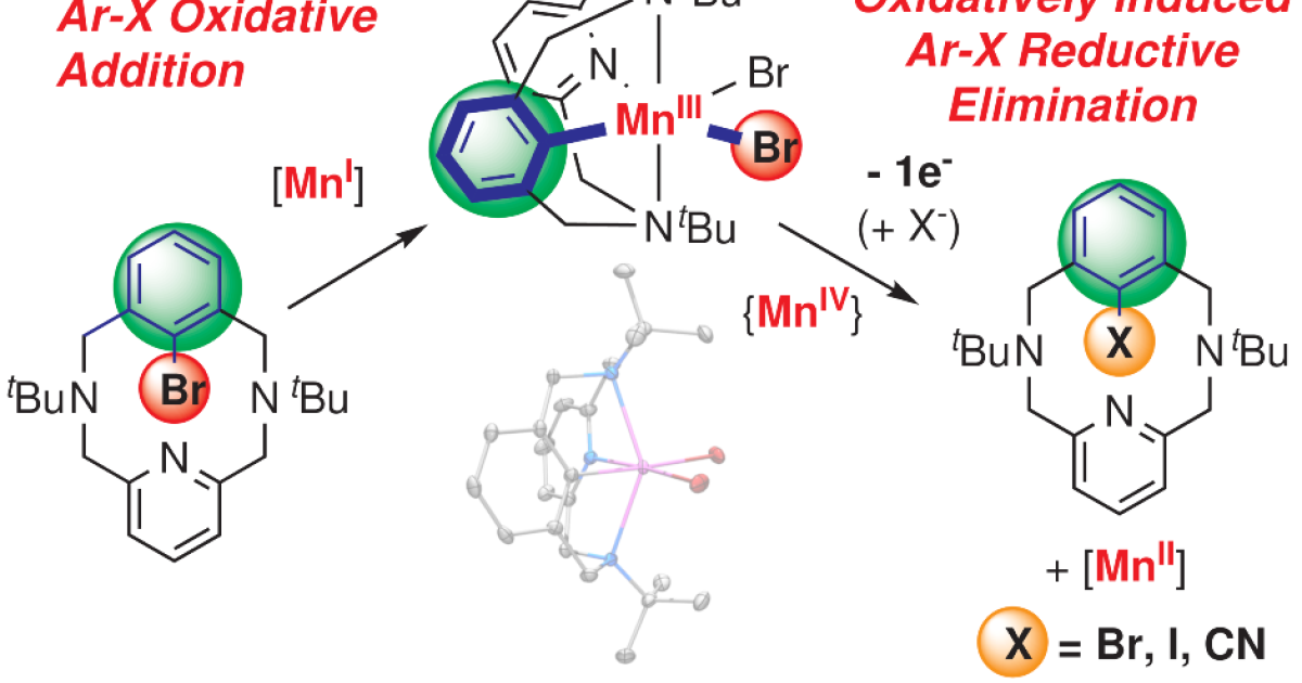 FY2019_3 | Okinawa Institute of Science and Technology OIST