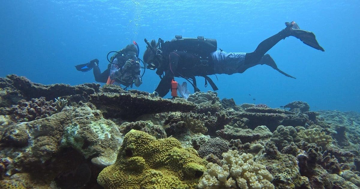 OIST Joins American Academy of Underwater Sciences | Mirage News