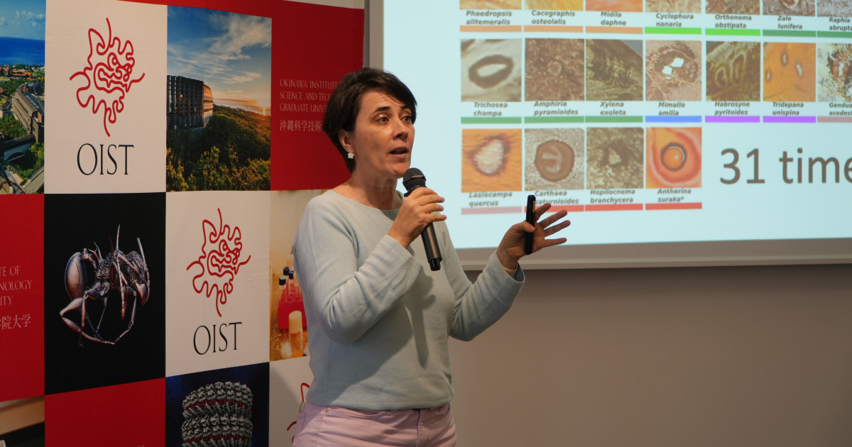 OIST Kids Lecture ‘The Evolution of the Butterfly’s Eyespot’ | Okinawa ...