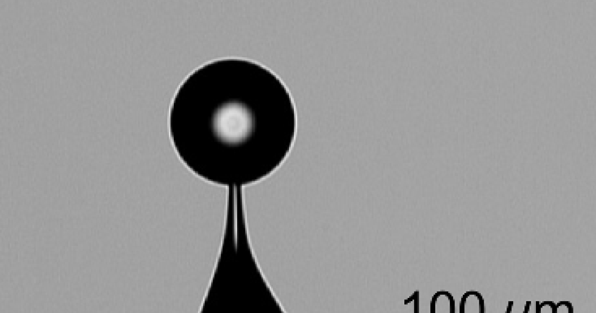WGM cavity | Okinawa Institute of Science and Technology OIST