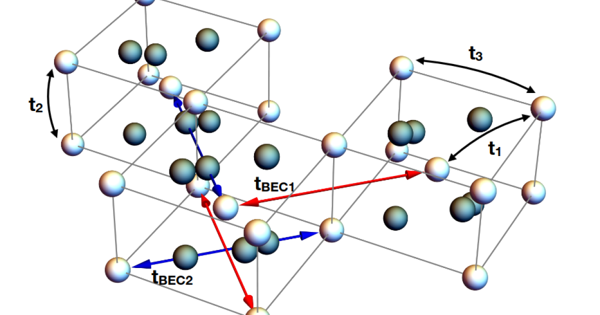 tqm_fy2024_preprint_matthias_ruthile | Okinawa Institute of Science and ...