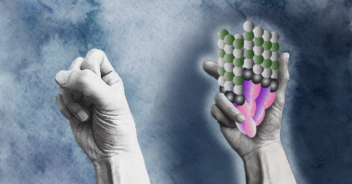 Scientists Uncover Cell Division's Spindle Trigger | Mirage News