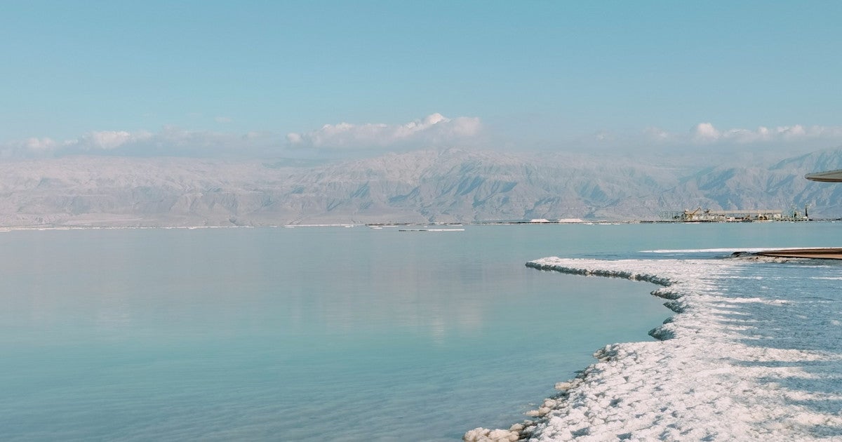 Extreme Adaptation Enables Dead Sea Microbes to Swim | Mirage News