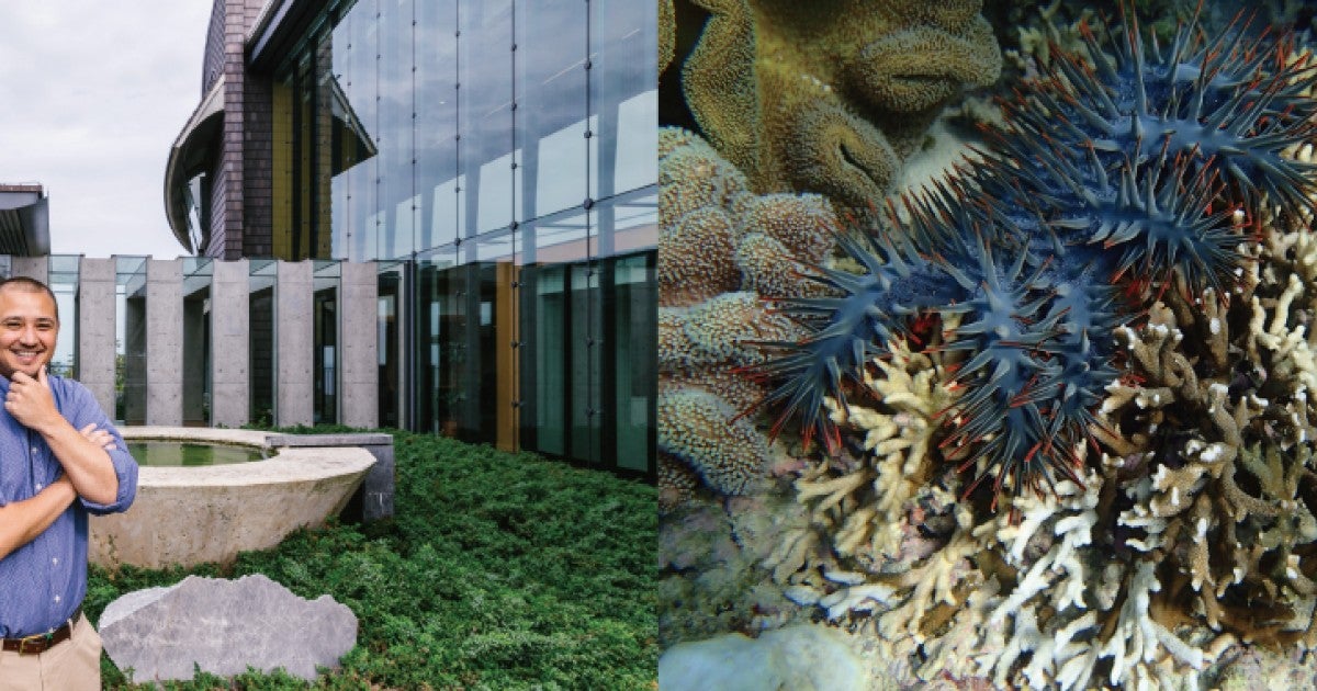 CoT Starfish thumb.jpg | Okinawa Institute of Science and Technology OIST