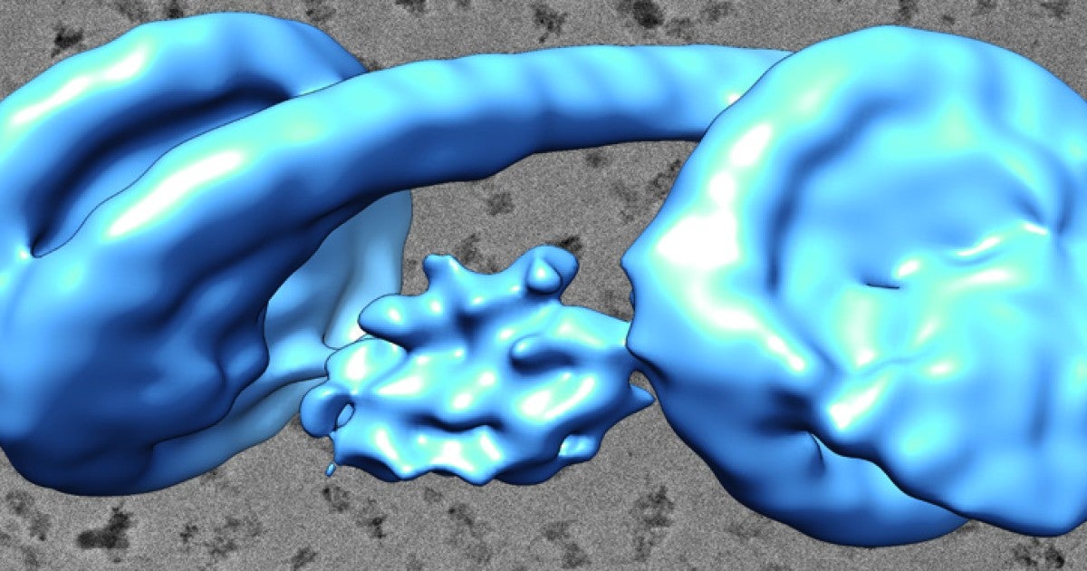 The Nanoscopic Structure that Locks Up Our Genes | Okinawa Institute of ...