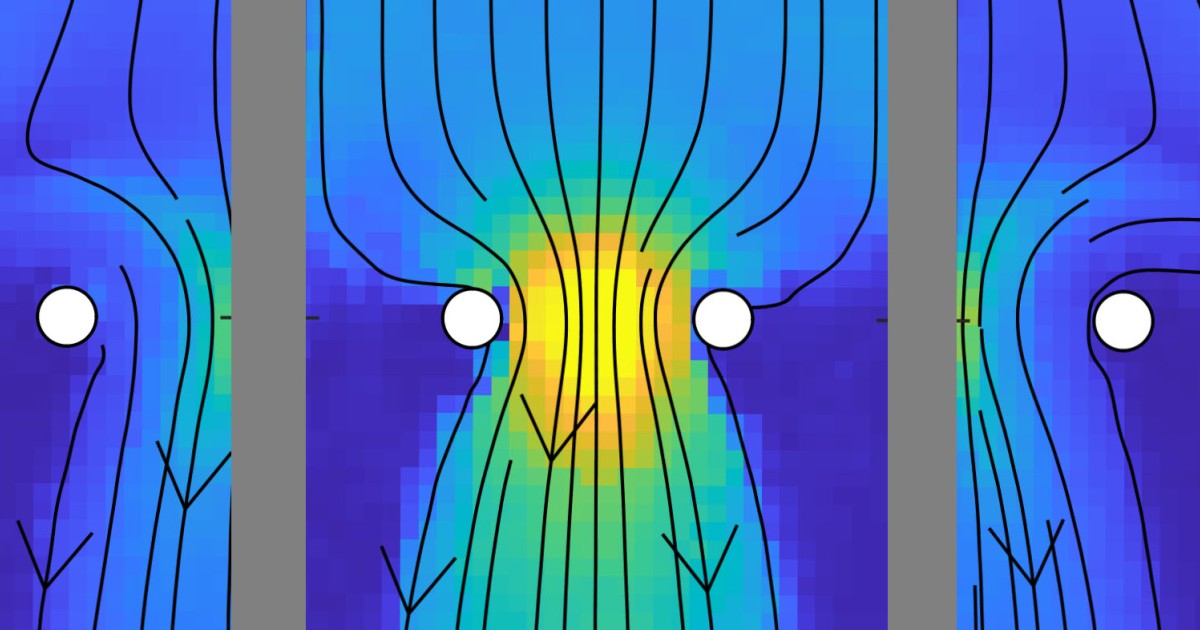 Not too big, not too small: Goldilocks analogy found in maze navigation ...