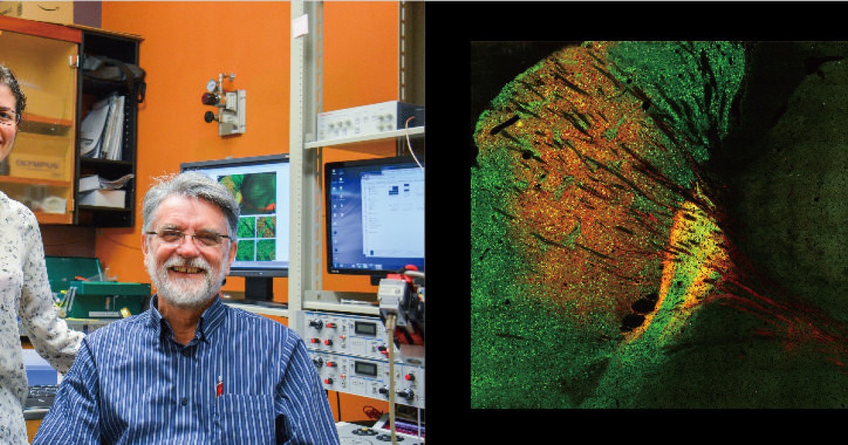 hpi_edited.jpg | Okinawa Institute of Science and Technology OIST