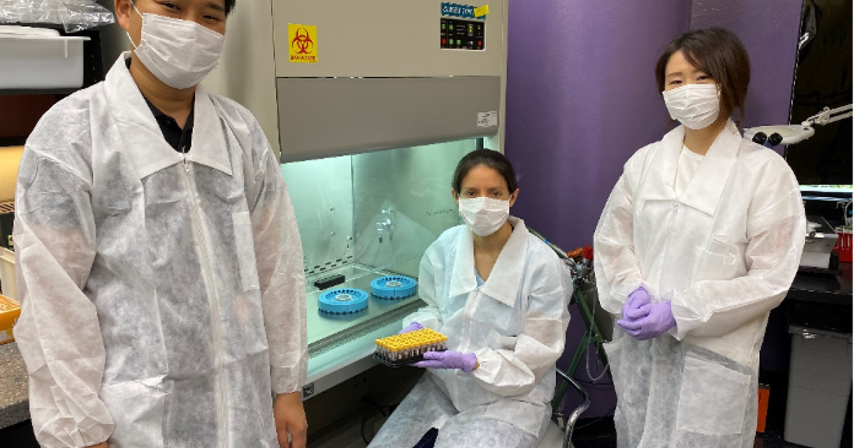 20201015-oist-covid-antibody-method_04.png | Okinawa Institute of Science and Technology OIST