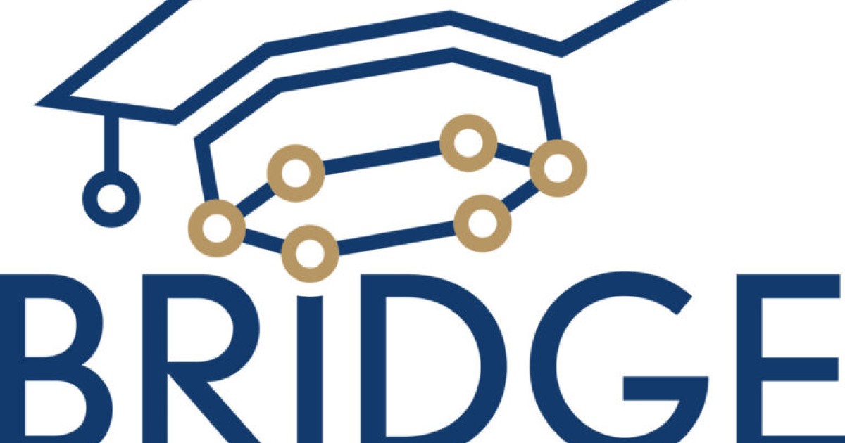 Bridge-Logo-RGB-768x637.jpg | Okinawa Institute of Science and ...