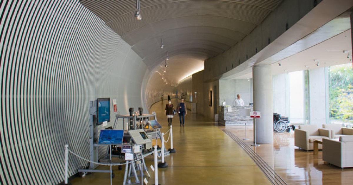 20131122-campus_dsc_7135_procfin_650.jpg | Okinawa Institute of Science and Technology OIST