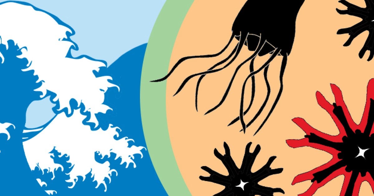 What Makes a Jellyfish? | Okinawa Institute of Science and Technology OIST