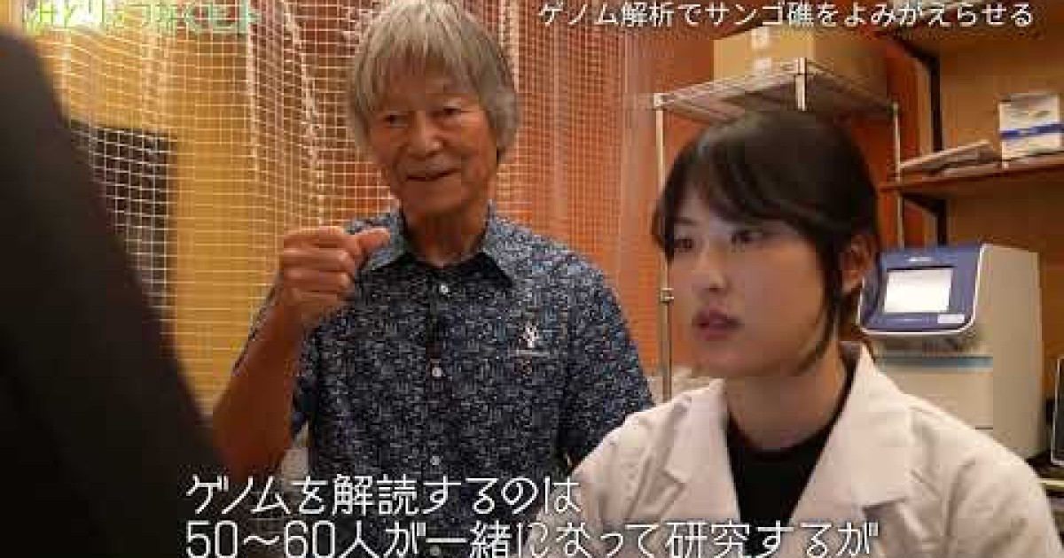 Coral Project News No. 13 | Okinawa Institute of Science and Technology ...