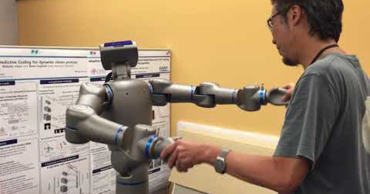 Torobo Humanoid (a.k.a. Minkyu2) | Okinawa Institute of Science and Technology OIST