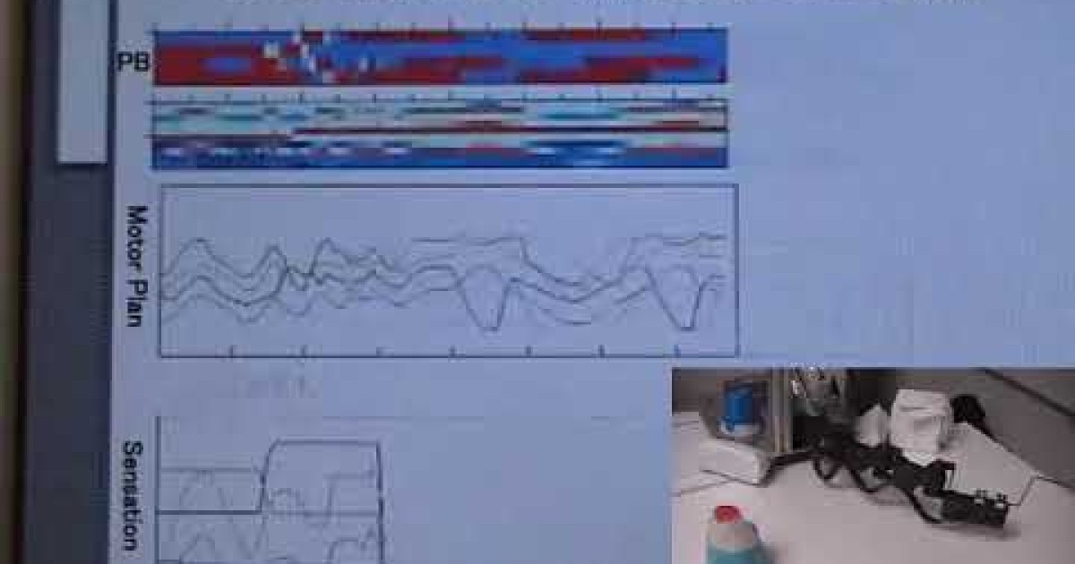 Online modification of motor plan of a robot by using a framework ...