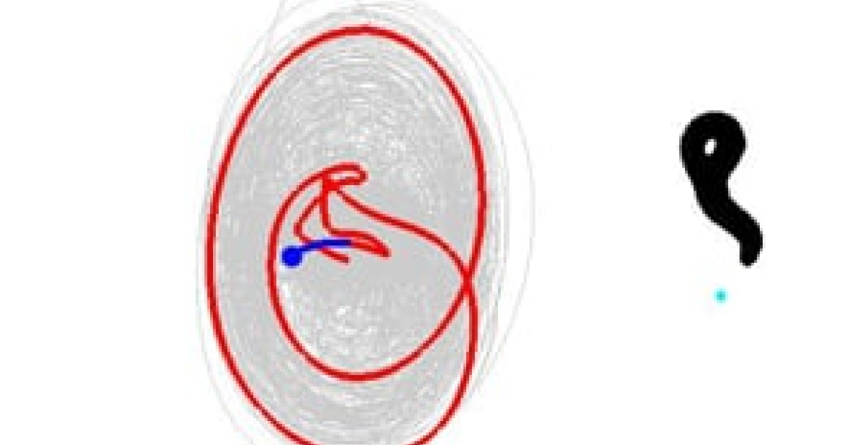 Geometric shape of worms | Okinawa Institute of Science and Technology OIST